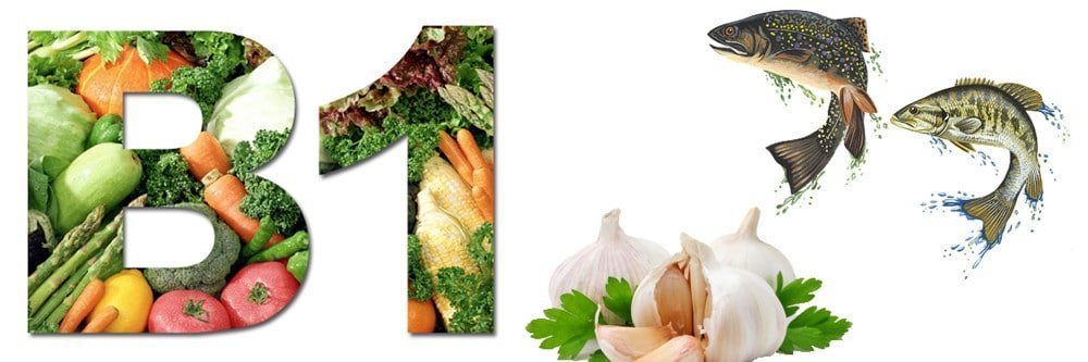 B1 Vitamini (Tiamin) Nedir? Faydaları, Eksikliği ve Kaynakları Nelerdir ...